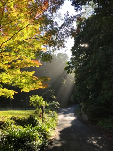 Health Retreats in NSW Australia | Cedarvale Retreat