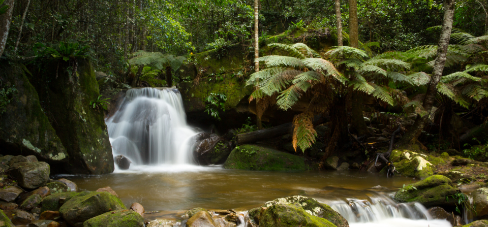 Health Retreats in NSW Australia | Cedarvale Retreat